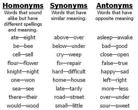 List Of Synonyms And Antonyms Of The Word Pcr Diagram