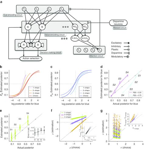 Schematic Of The Model And Model S Behaviour During The Probabilistic Download Scientific