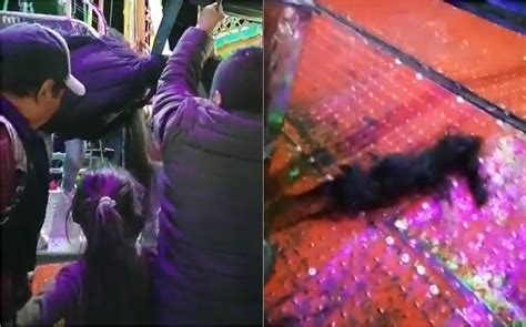Chiapas Joven Queda Atrapada Del Cabello En Rueda De La Fortuna Telediario M Xico