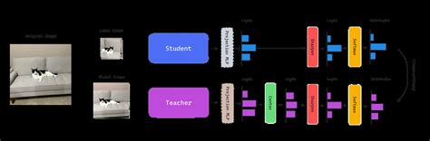 Dino Framework The Student Network Is Trained To Match The Output Of The Teacher Network