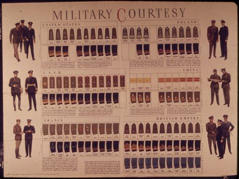 Army Rank Hierarchy Uk At Erik Cox Blog