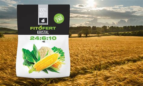 Fitofert Kristal 24610 Fitofert Si