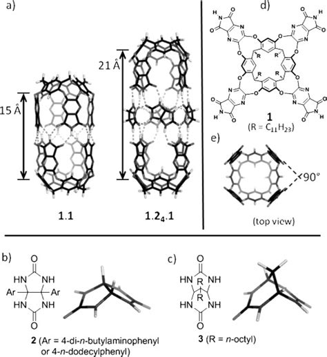 Self‐assembled Capsules Of Unprecedented Shapes Tiefenbacher 2011 Angewandte Chemie