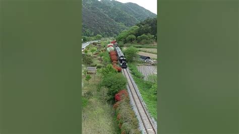 곡성 섬진강 증기기관차 추억의 기관차 Youtube