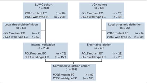 Flowchart Of The Combined Validation Cohort Ec Endometrial Cancer