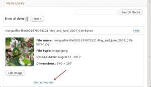 How To Customize Your Wordpress Website Header