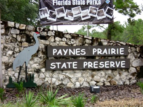 Our Year Outdoors Trip 20 Paynes Prairie Preserve State Park