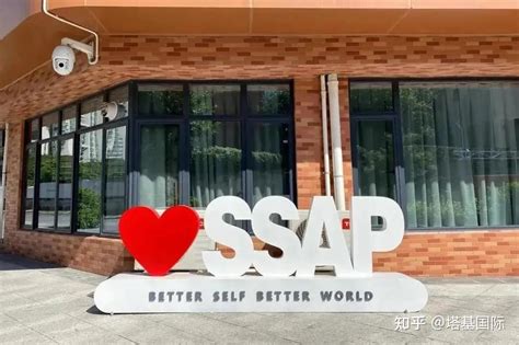 省实AP省实A Level省实国际艺术高中老牌名校 三大国际部都有哪些区别 知乎