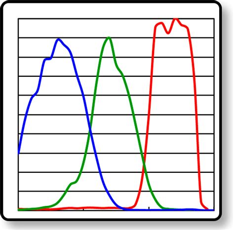 Camera Spectral Sensitivity Measurements Avian Rochester Llc