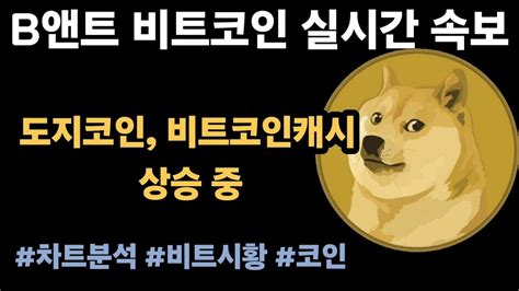 비트코인실시간 323 도지코인 8 상승 중 비트코인캐시 반감기 호재 이오스 시바이누 아더 상승 비트코인