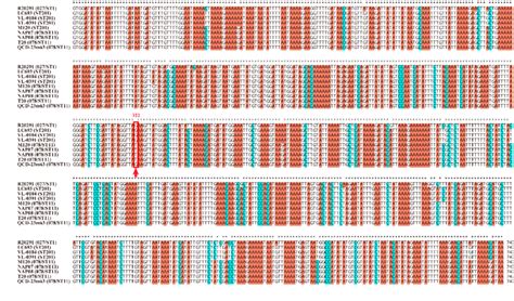 Sequences Comparisons Of Cdtr Among Clostridium Difficile Strains Download Scientific Diagram