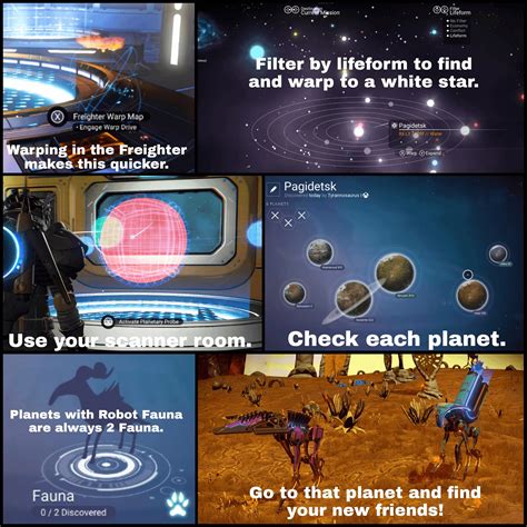 Finding Robot Fauna Made Easy Thanks To The Freighter Scanner Room
