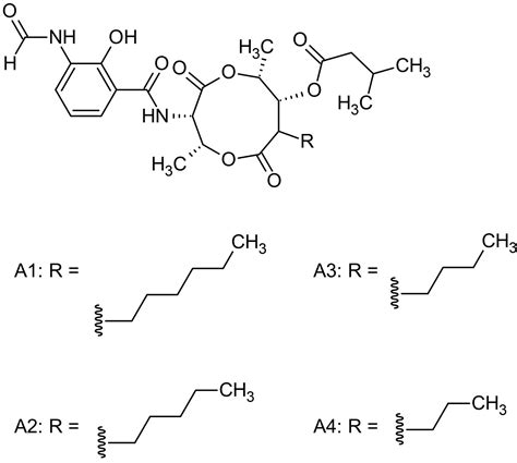 Antimycin A Antibiotic Ab141904 アブカム