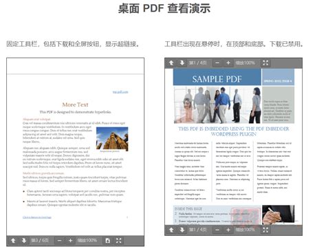 PDF Embedder Premium完美汉化中文版 PDF嵌入文章查看显示WordPress插件介绍 搬主题