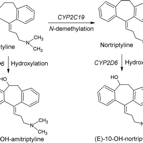 Pdf A Study On Cyp2c19 And Cyp2d6 Polymorphic Effects On
