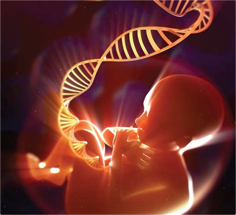 Long Term Vision For Health Genetic Testing For Hereditary Cancer