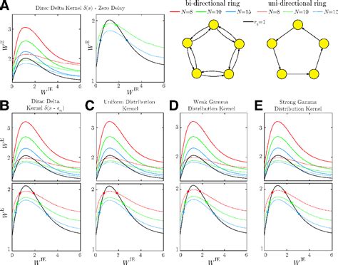 Figure 2 From Distributed Delay And Desynchronization In A Brain