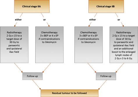 Treatment Options For Patients With Clinical Stage Iia And Iib