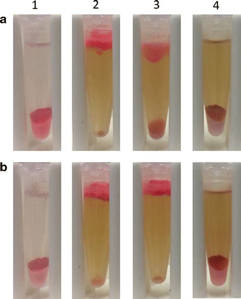 Pretreatment Optimization Analysis The Pretreatment Optimization
