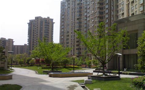拉德芳斯梧桐花园 天盛控股集团