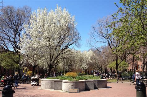 10 Best Parks In Brooklyn Where Nature Meets Skyline