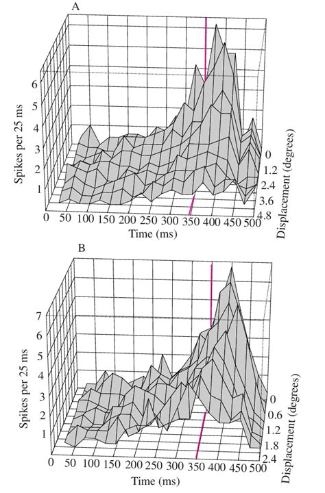 Response Of The Dcmd Neurone To Objects Approaching On Collision Or