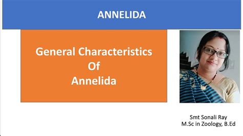 General Characteristics Of Annelida Bsc 2nd Semester