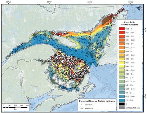 Presence And Balanced Absence Observations And Predictions Of Presence Download Scientific