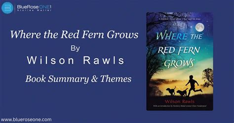 Where The Red Fern Grows Book Summary And Themes