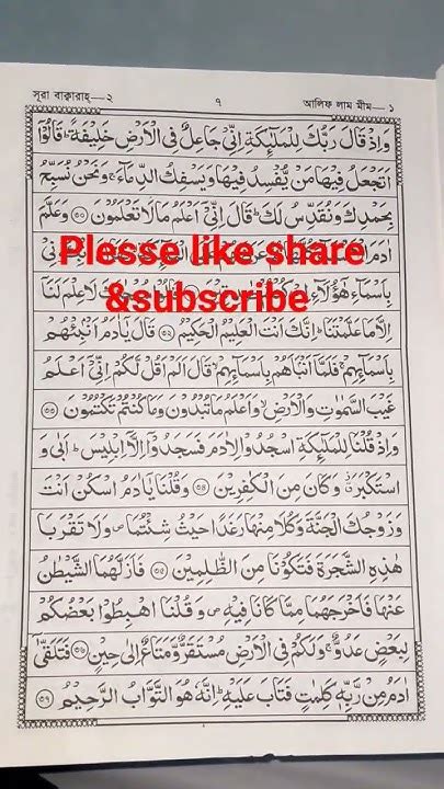 সূরা বাকারা ৩৫ ৩৭ নং আয়াত। Youtube