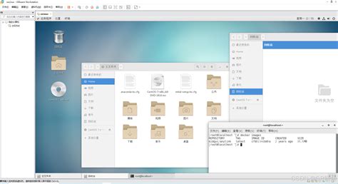 docker③ vmware虚拟机和docker的备份与恢复 vmware docker csdn博客