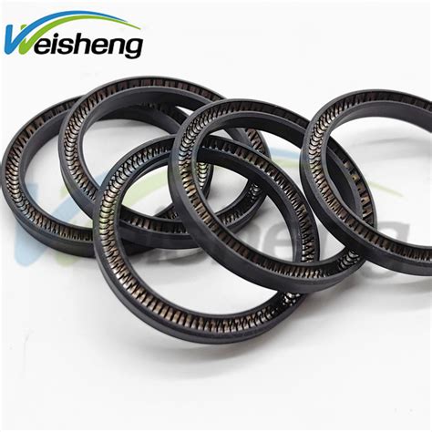 Spring Energized Seals