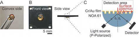 Polymeric Grating Prism Based Dual Mode Miniature Surface Plasmon Resonance Sensor Chip Rsc