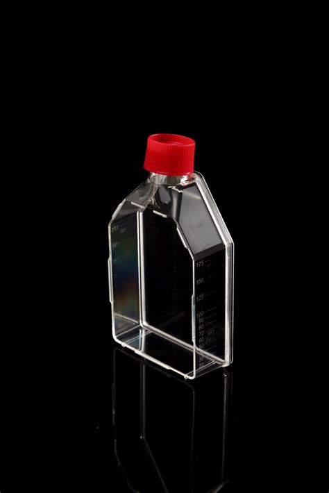 T75 Cell Culture Flask Non Tc Treated 75cm² Sterile Ps Angled Neck Vent Or Sealed Cap