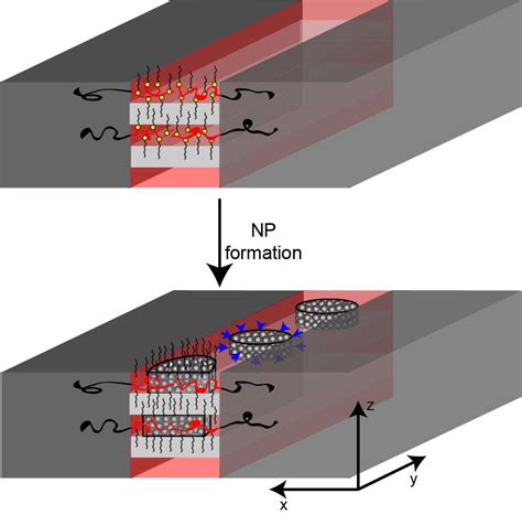 Synthesis Of Disk Shaped Nanoparticle Aggregates Organized In Hierarchical Structures In Block