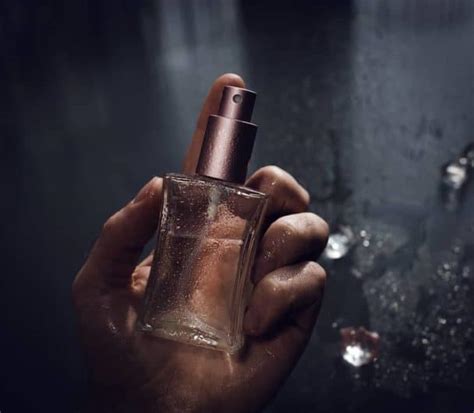 4 Different Types Of Cologne