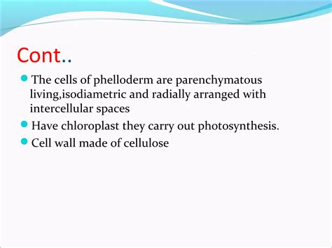 Tree Bark Ppt