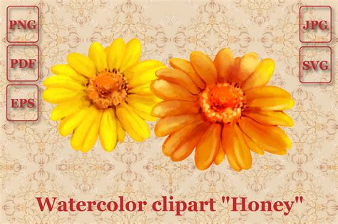 Two Daisy Flowers Watercolor Vector Graphic By Irish Solo · Creative Fabrica