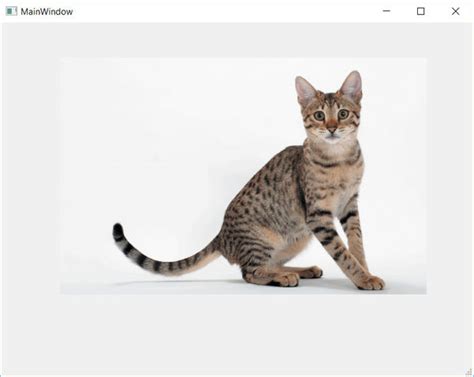 Adding Images To Pyqt5pyside2 Applications Using Qlabel And Qpixmap