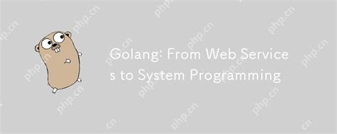 golang from web services to system programming golang php cn