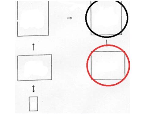 Components Of A Pulse Echo Imaging System Quiz