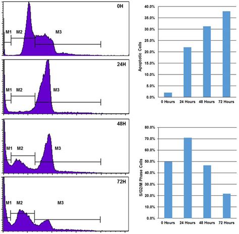 Propidum Iodide Pi Staining For Apoptosis And Cell Cycle Analysis Download Scientific
