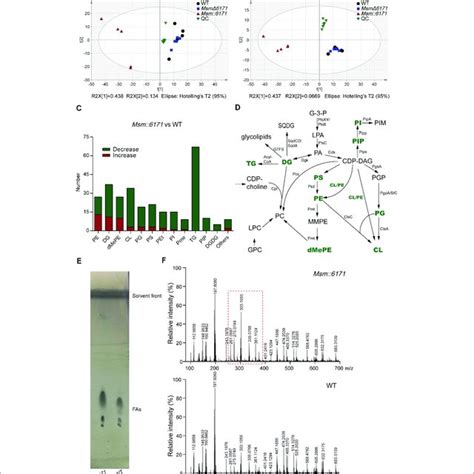 Lcms Based Metabolomics Analysis Of Lipid Metabolome A Pca Score