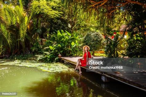 빨간 드레스와 밀짚 모자를 쓴 여행 여자 나무 다리에 앉아 빨강에 대한 스톡 사진 및 기타 이미지 빨강 앉음 휴식 Istock
