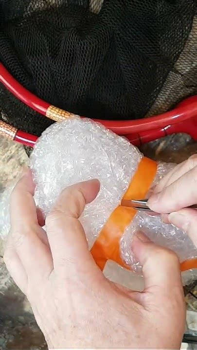 평수공방에 접수된 코마도리 뜰망 클램프 타마 옥병 Youtube