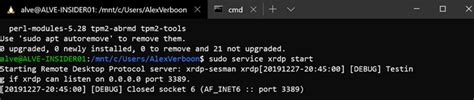 Setting Up Kali In Windows 10 Wsl 20 Anything About It