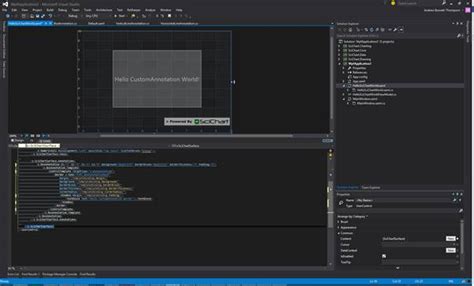 The Customannotation Type Wpf Chart Documentation
