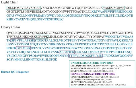 Automated Kit Based Sample Preparation Strategy For LC MS Quantification Of Cetuximab In Rat