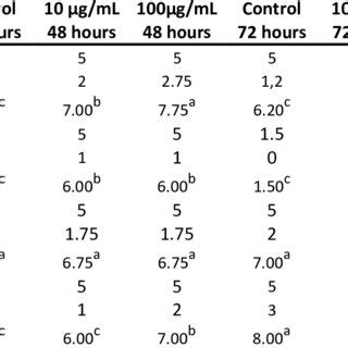 Result Obtained In The Technique Of Nucleus Staining By DAPI With Download Scientific Diagram