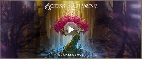 Films Tim Cantor Galleries